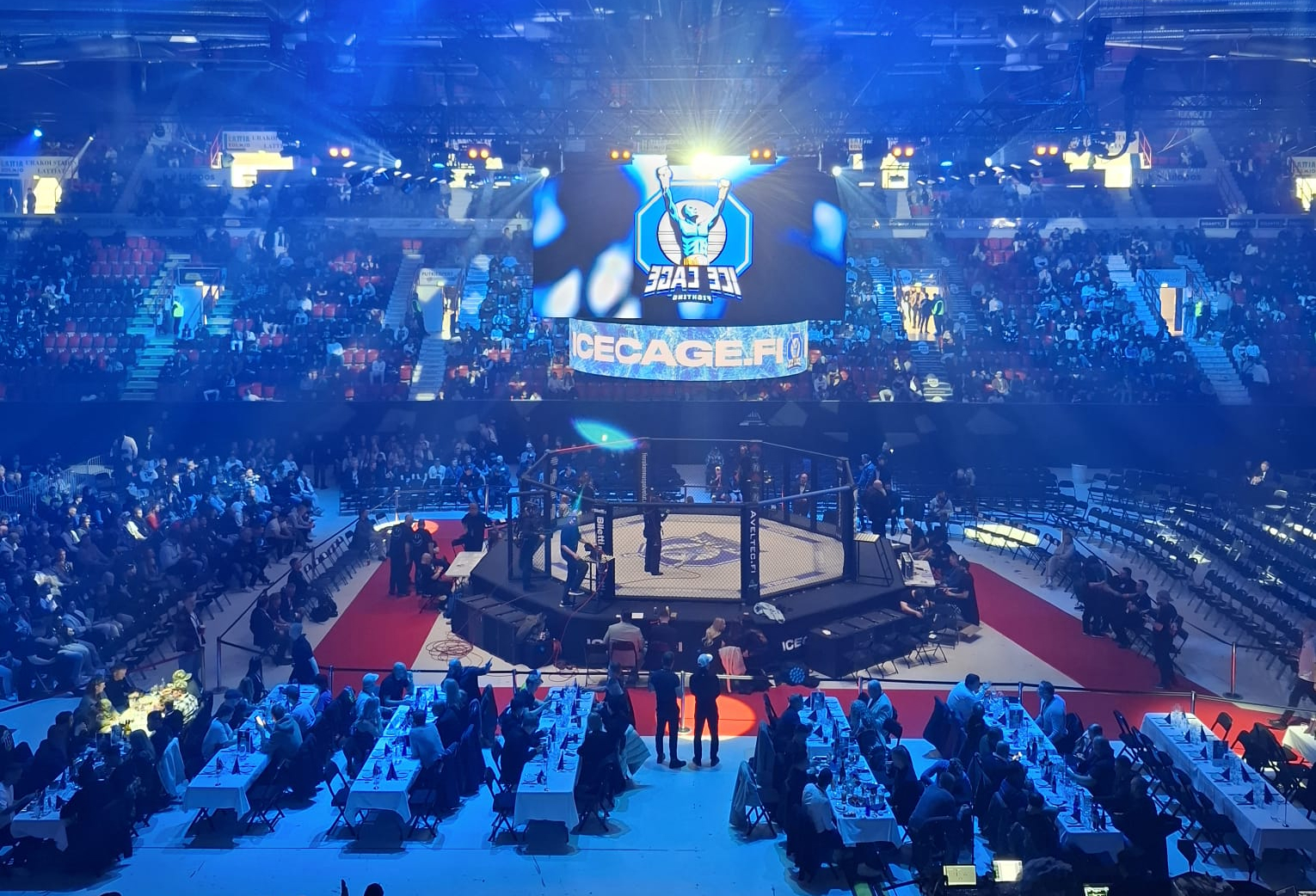 Ice Cage 4 -vedonlyönti, stream, ja tulokset - Rahapelisanomat.fi